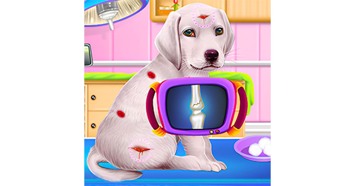 Labrador Puppy Daycare Salon - Caring Pet Game