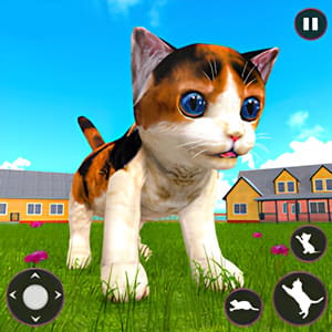 Cat Simulator Online - Experience Cat's Life